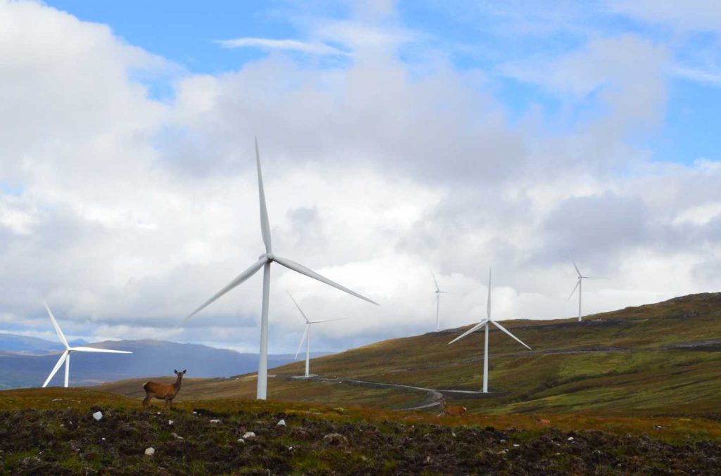 RES and Octopus Renewables strengthen bond with new asset management ...