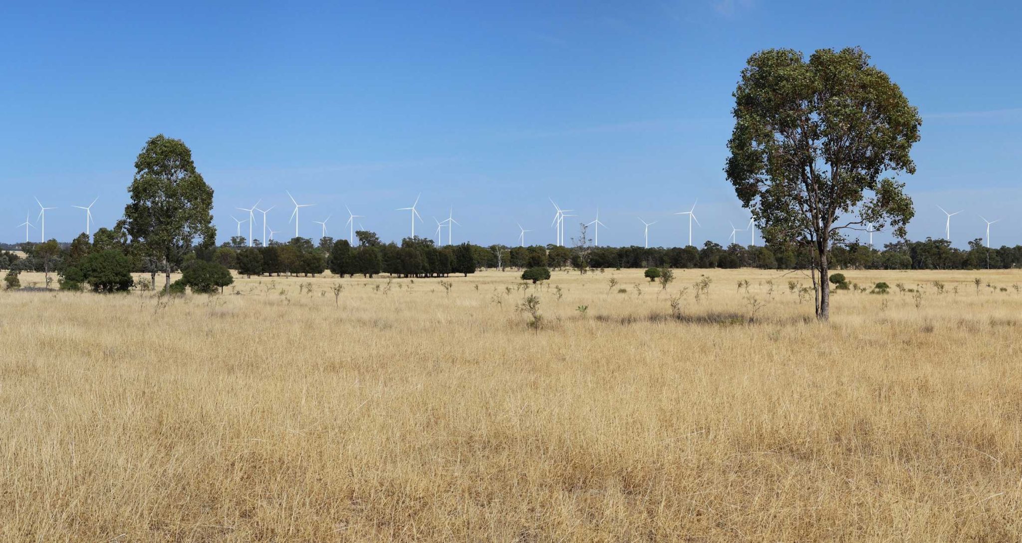 Octopus Australia to acquire 180MW Dulacca Wind Farm from RES - RES