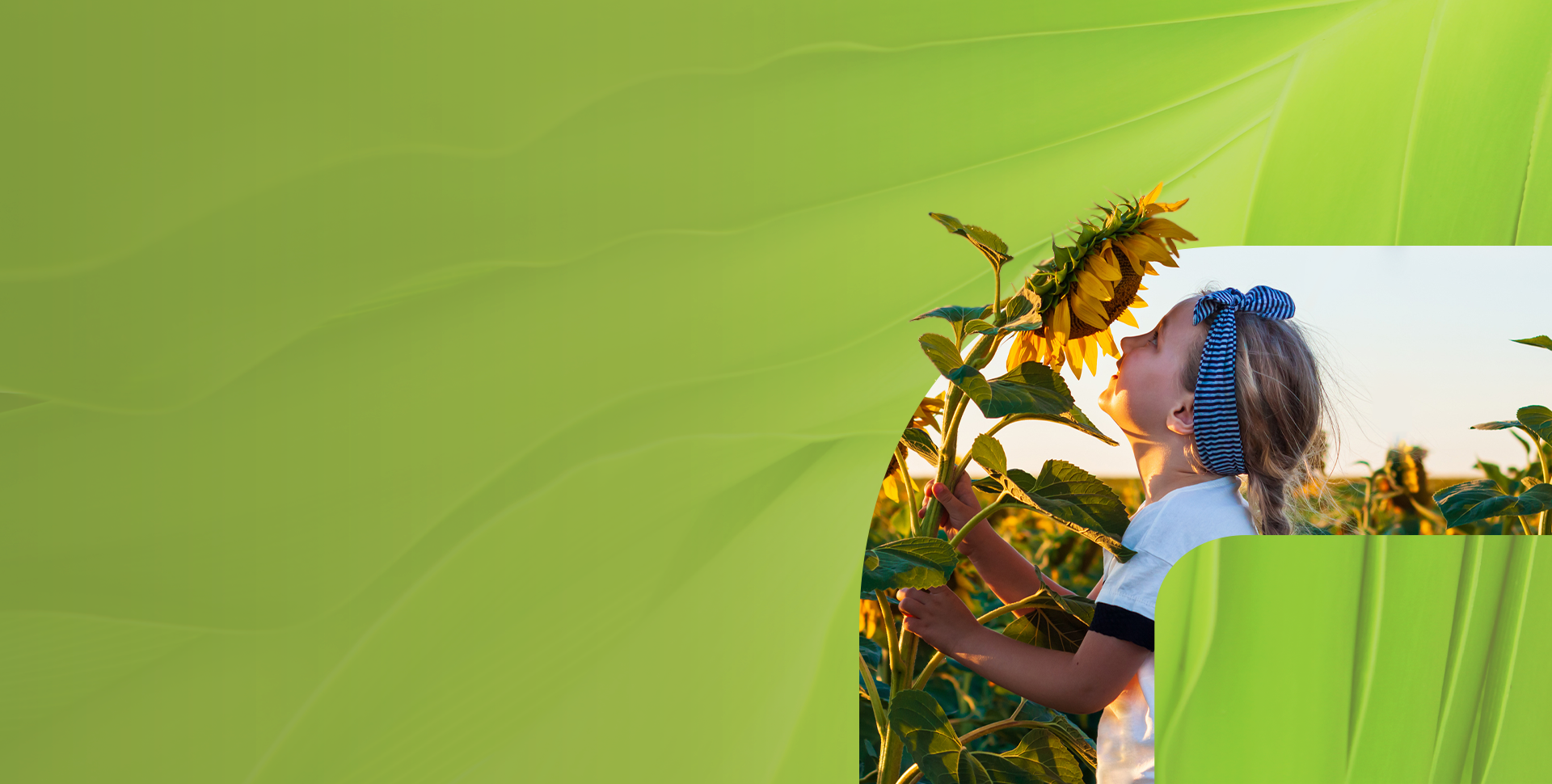 RES | Global Renewable Energy Solutions